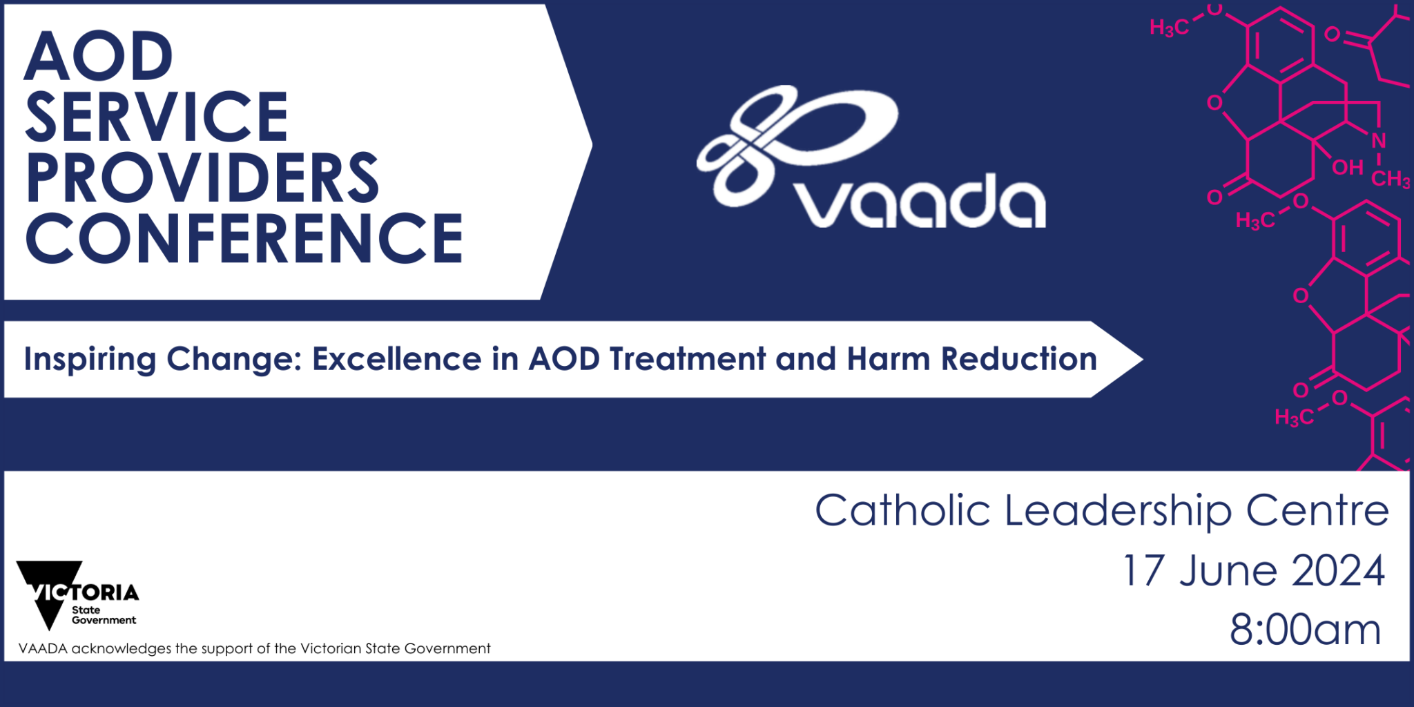 AOD Service Providers Conference 2024 - Vaada
